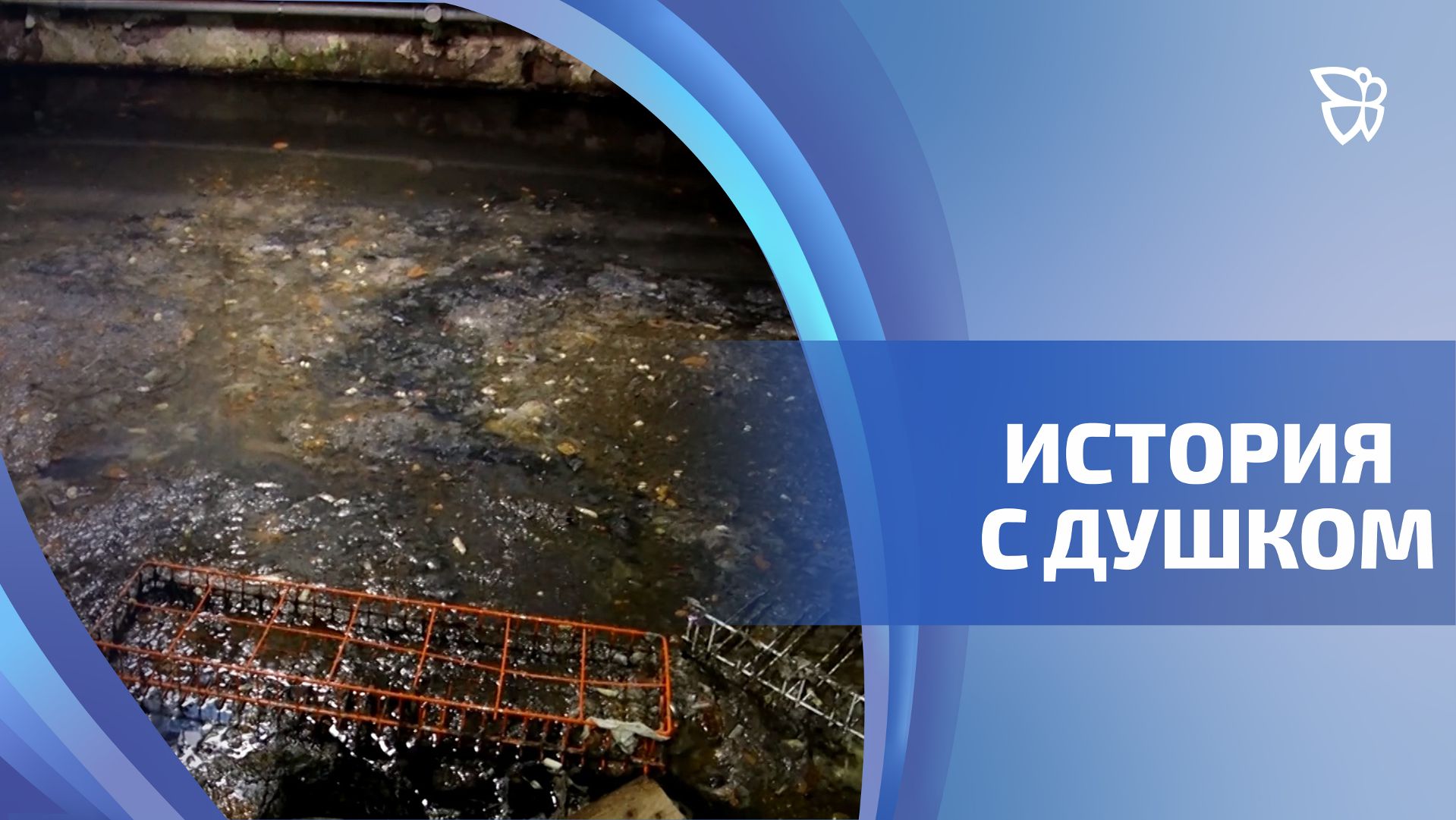 В доме на Ильича не работает канализация