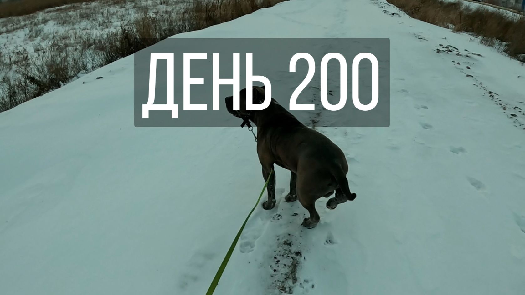 День 200