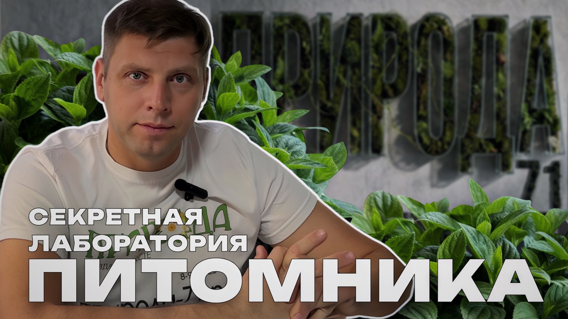 Секреты лаборатории, которые помогут получить здоровый черенок. Природа 71☘️