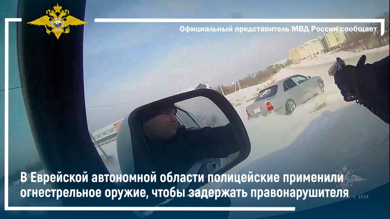 В ЕАО полицейские применили огнестрельное оружие, чтобы задержать правонарушителя