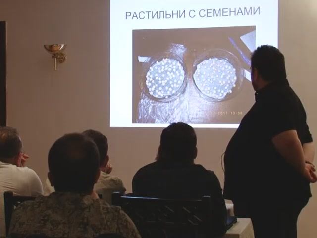 Виктор Панчелюга: Биологические эффекты пирамид