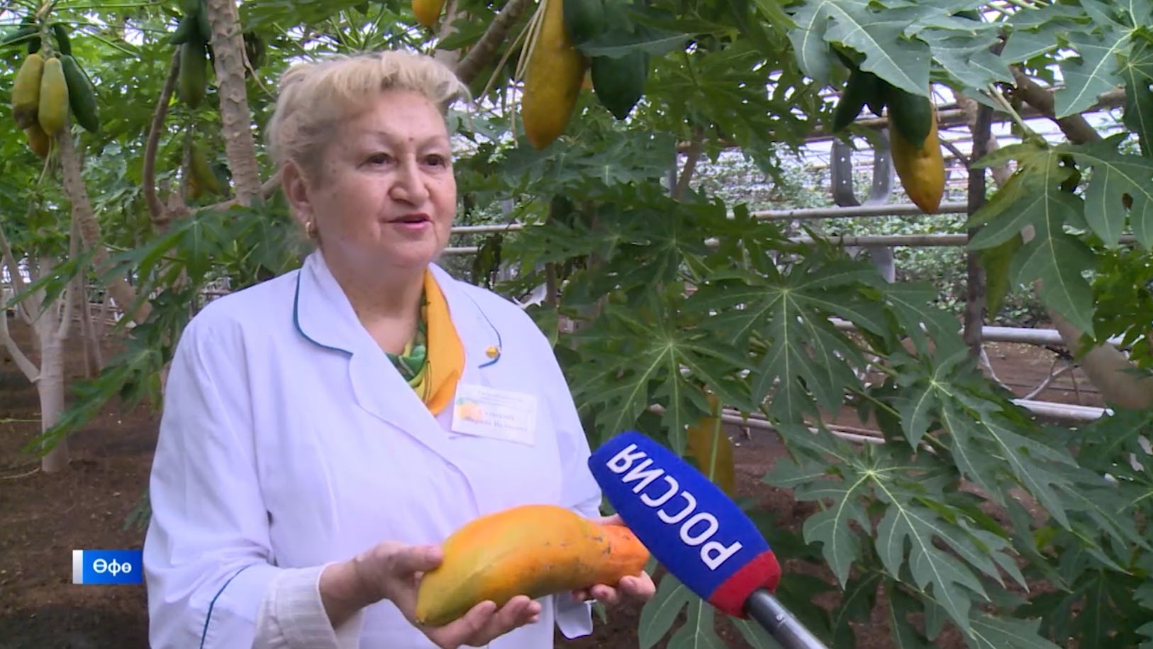 Йәйҙе һағынып өлгөргәндәр Өфө уртаһындағы тропик мөхиткә сума ала