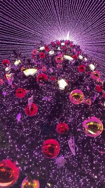 Ёлка в Туле