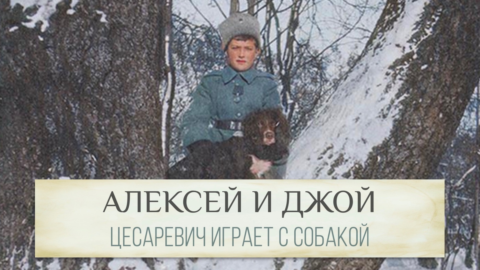 Цесаревич Алексей перед арестом играет с собакой