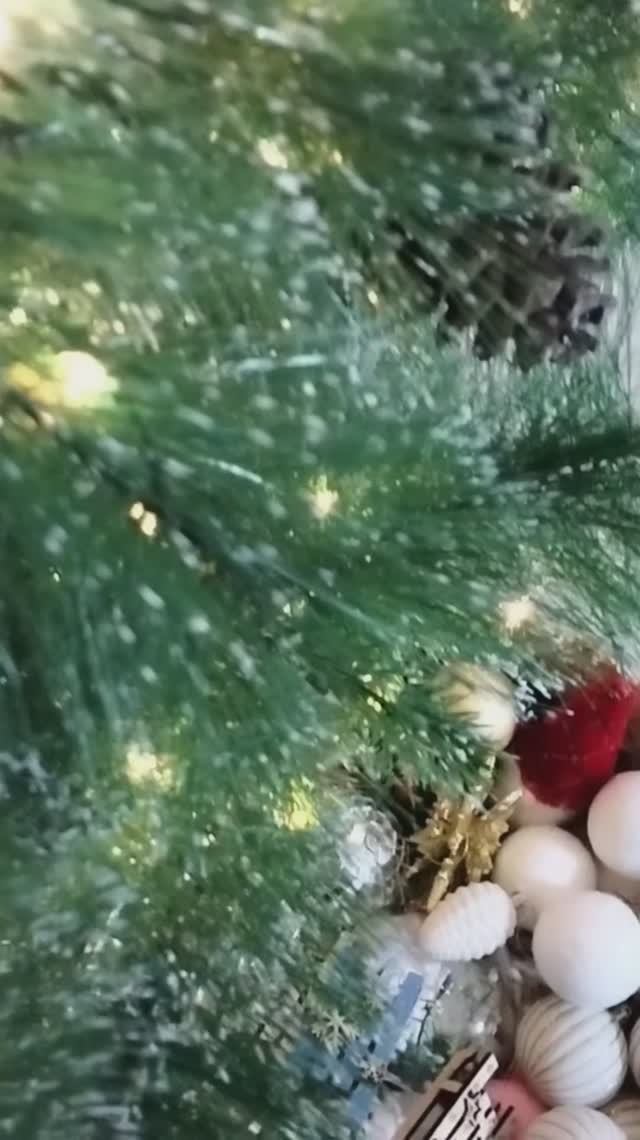 Нарядила Ёлочку🎄 #новыйгод2026