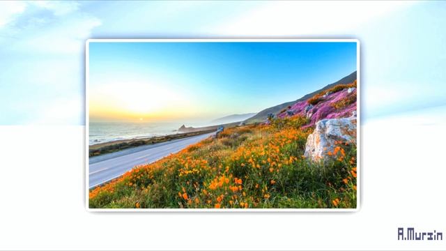 Aleksey Chistilin - Mood