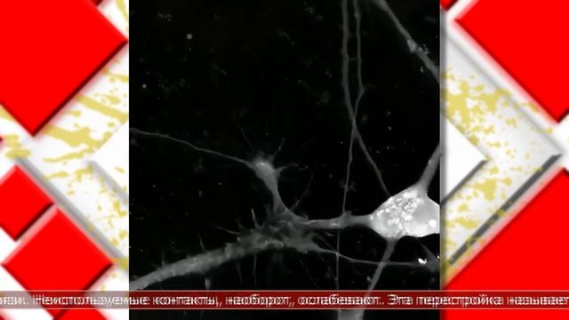 25.12.2025 Мировые новости