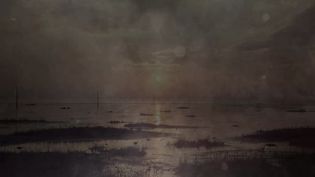 04 - Black Lullabies - Crown Shyness (Anfermond Remix)