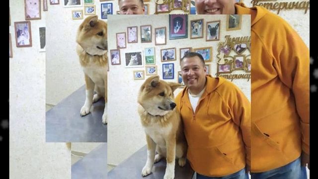 Игорь Алтайский кинолог-эксперт