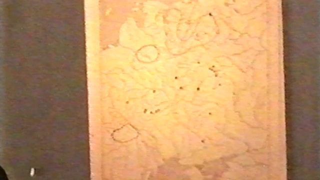 Расселение славян на Северо - Западе Русской равнины в I  тысячелетии нашей эры Ч.2. КНТ РГО СПб