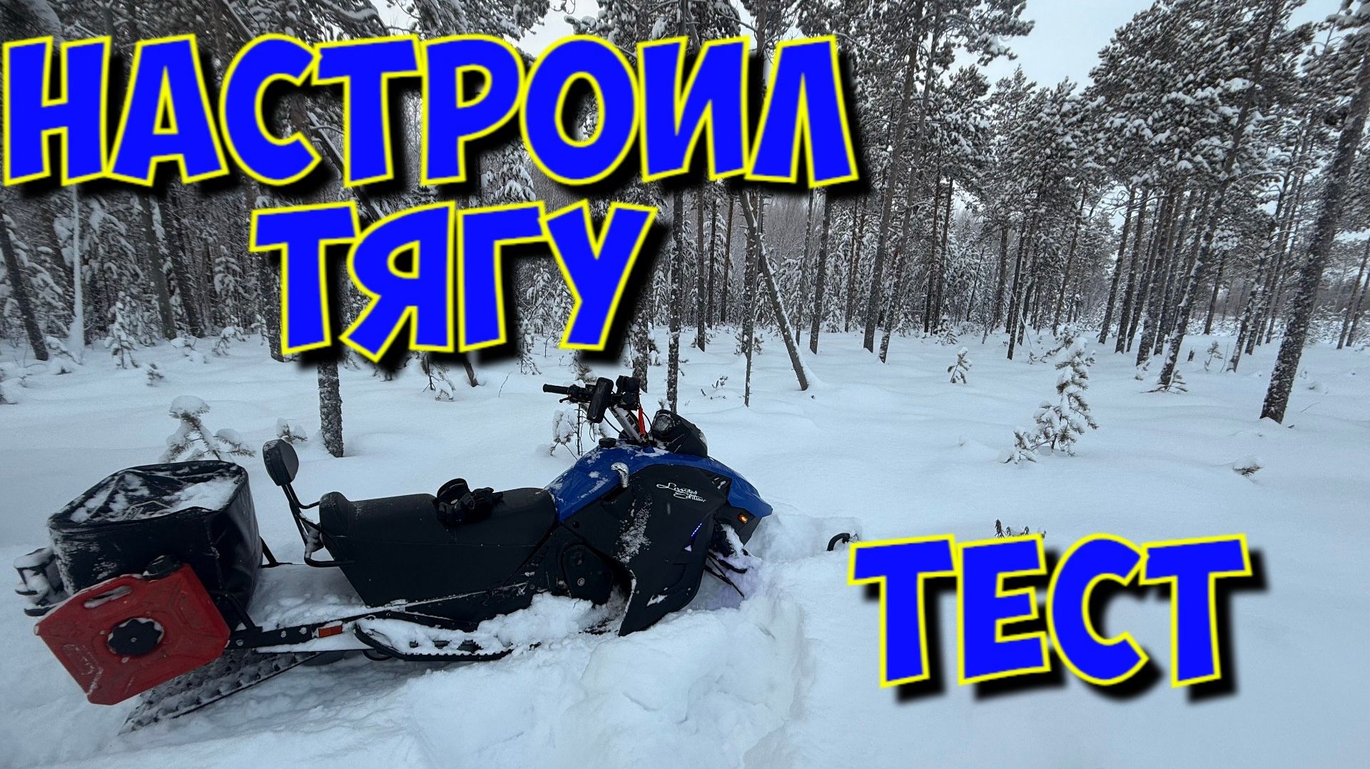 Плоскогорник "СИВКА БУРКА" теперь прёт в пухляке