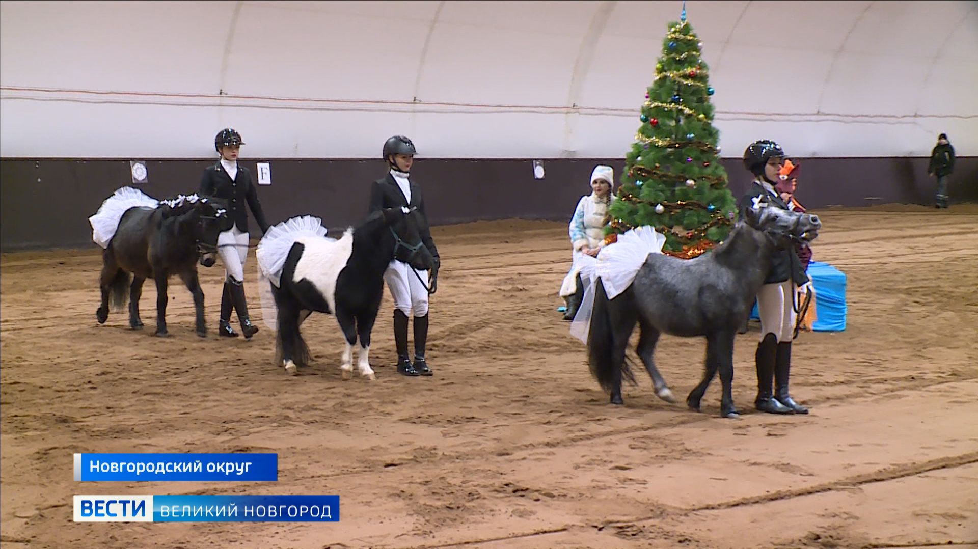 ГТРК СЛАВИЯ Вести Великий Новгород 25.12.25