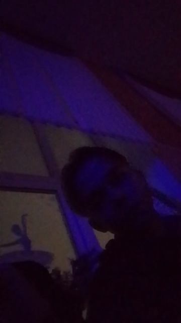 С николайдером на ёлке новогодней