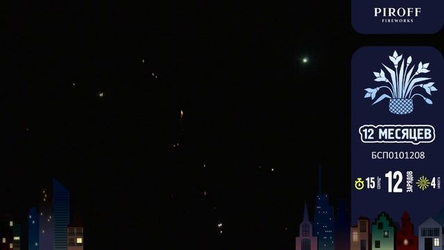 12 месяцев БСП0101208