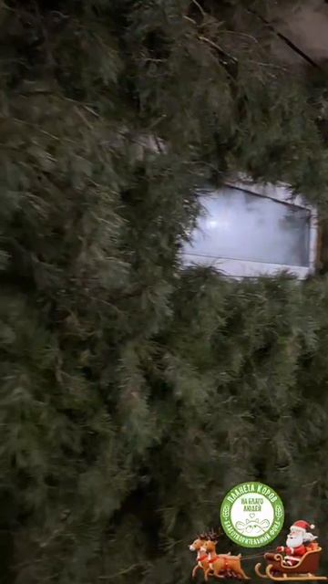 Команда украсила локацию, откуда мы проводим прямые эфиры «Кормление коров онлайн»