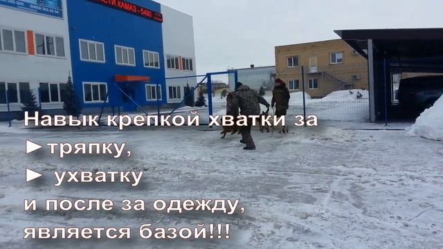 Караульная служба