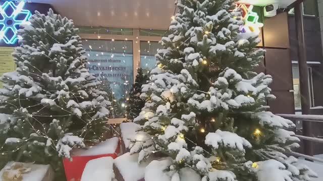 Небольшая прогулка 24 декабря. Южно-Сахалинск.mp4