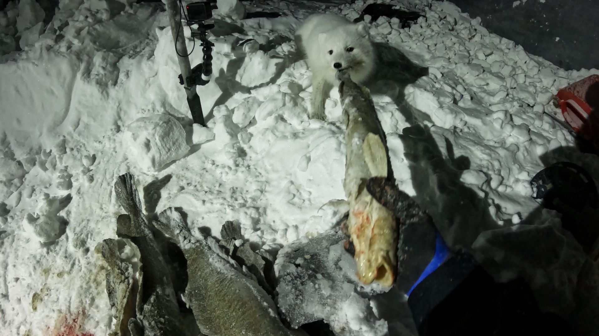 РЫБАЛКА С ПЕСЦОМ | ПЕРЕМЕТ | ПРОВЕРКА 24.12.2025