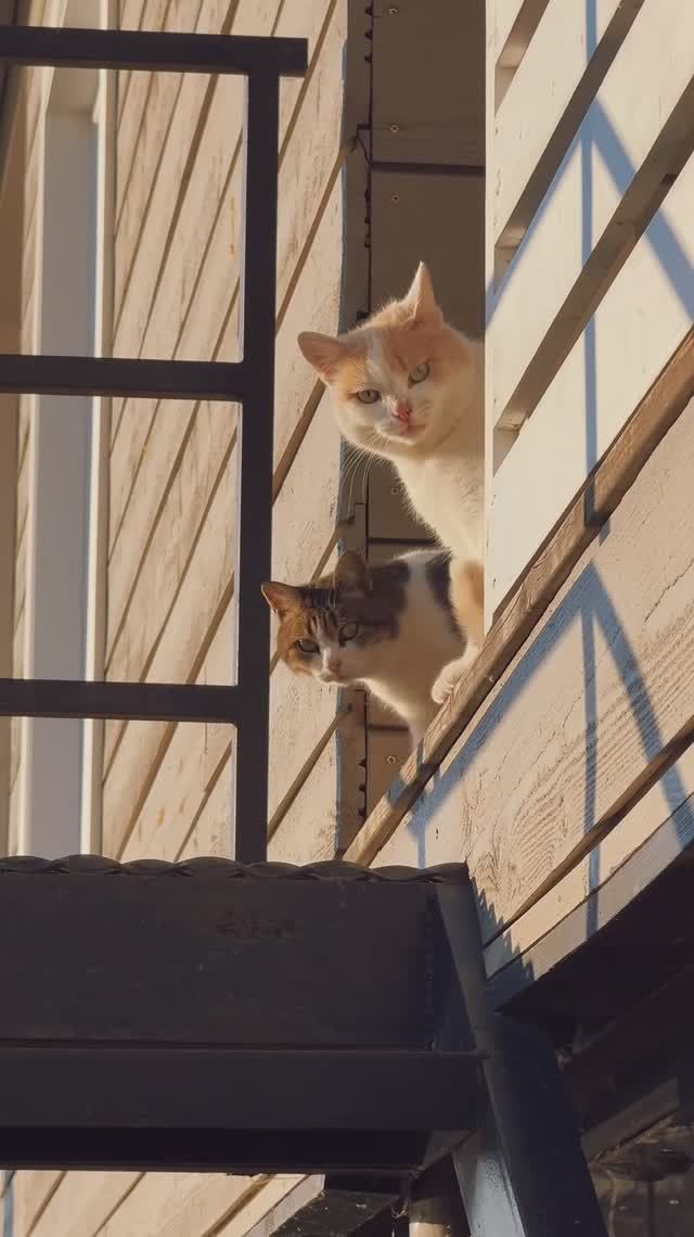 Осень на "Маяке"