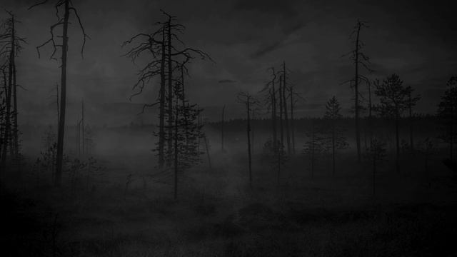 08 - Gustavo Bravetti - Babel (Anfermond Remix)