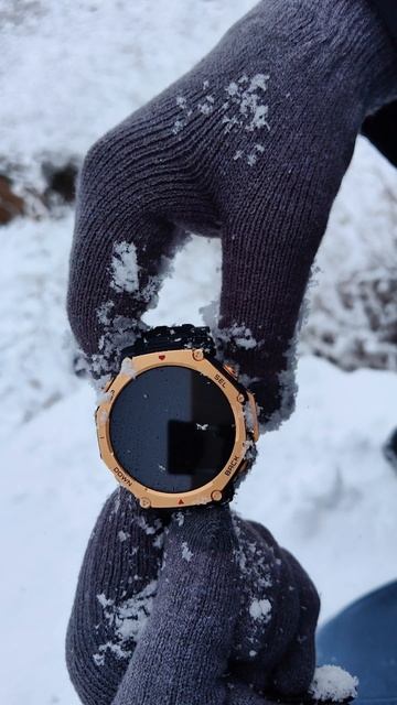 Amazfit T-Rex 3 Pro: Великолепные часы (новогодняя сказка) 🎄🎉⌚