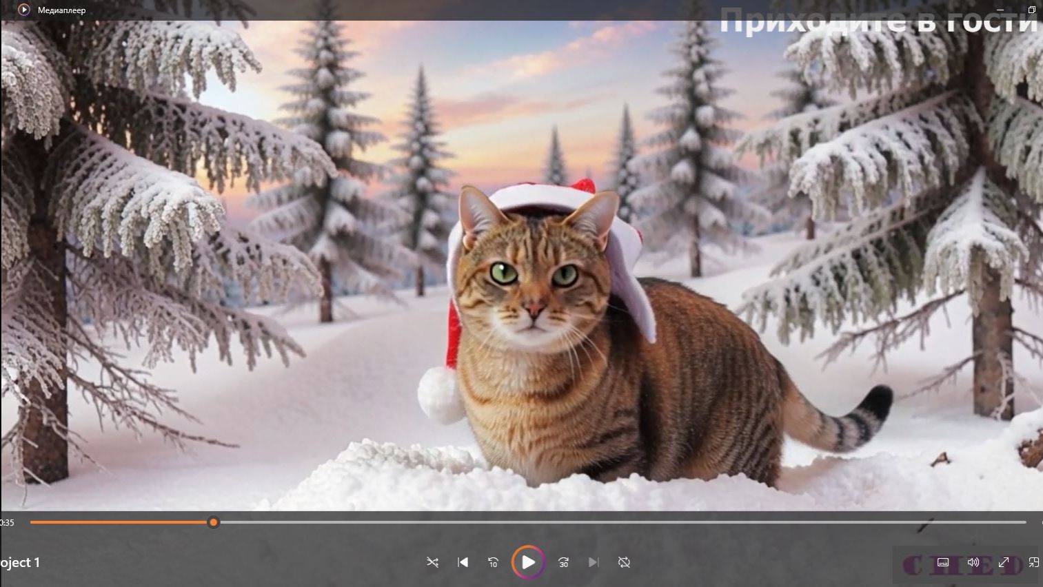 ПРИХОДИТЕ В ГОСТИ. Новогодняя.Песни от ЧеДА. Ремикс. ДЕД МОРОЗ НЕ РАД,