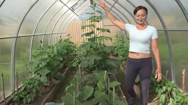 6 соток 14 июня 2021 года. Хроника.