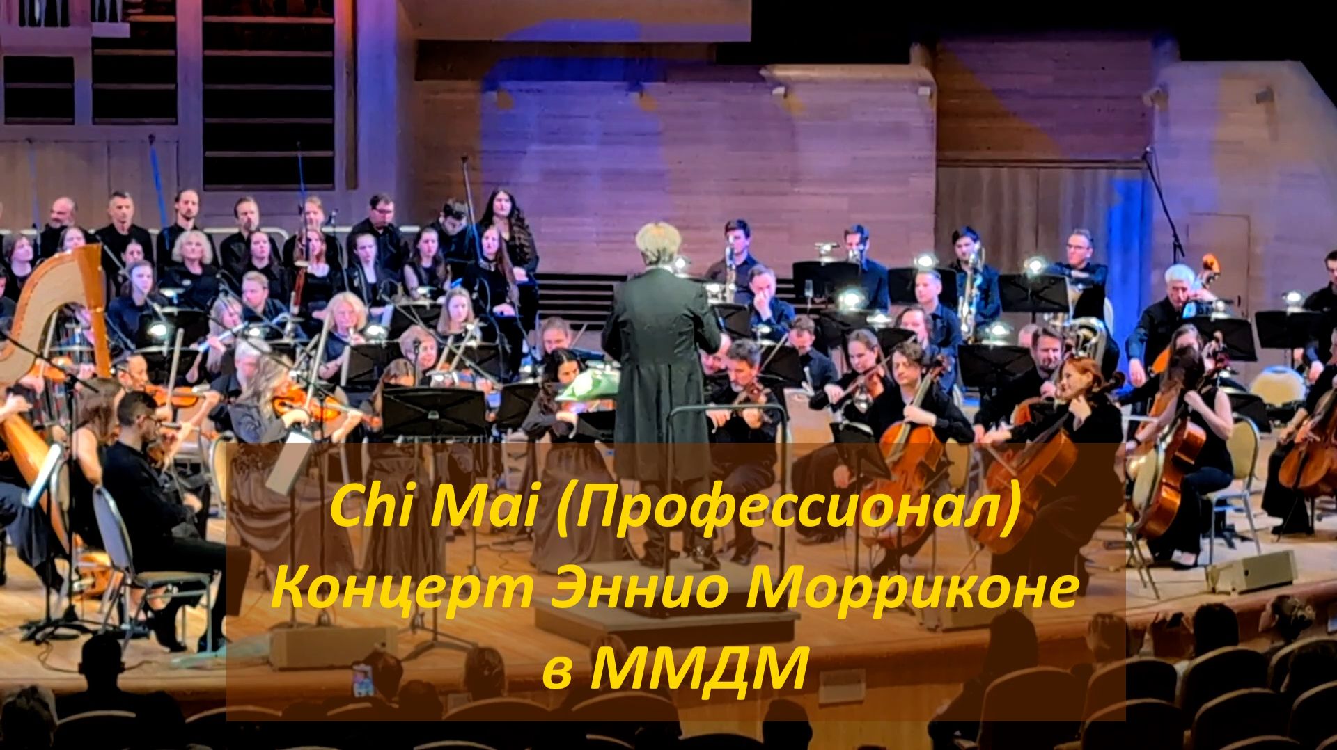 Chi Mai ("Профессионал") - концерт Эннио Морриконе в ММДМ