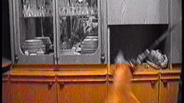 Смертельный укус. Как научить собаку защите?