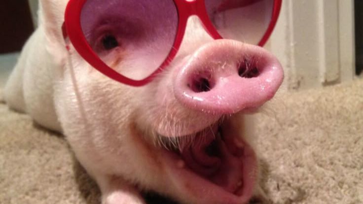 начало приключений прохождение майнкрафта