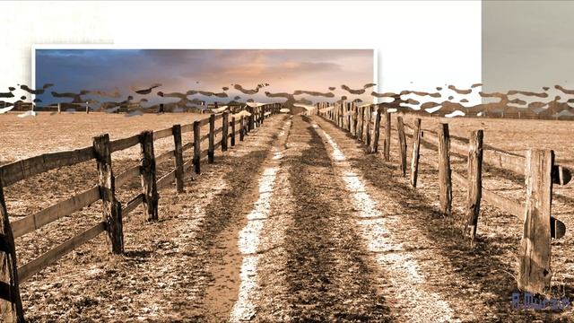 Aleksey Chistilin - Sunday