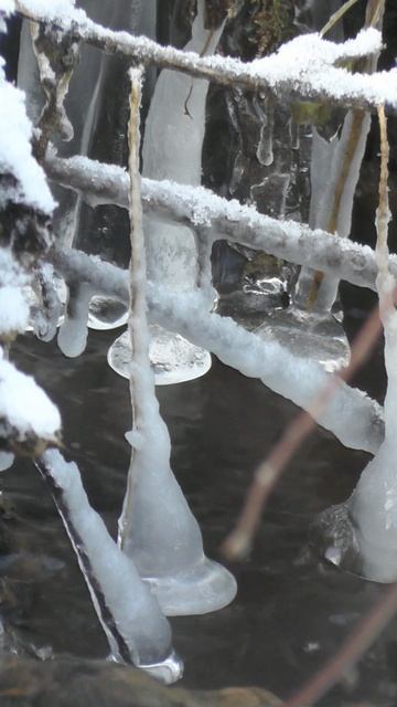 Живые картины русской природы 4