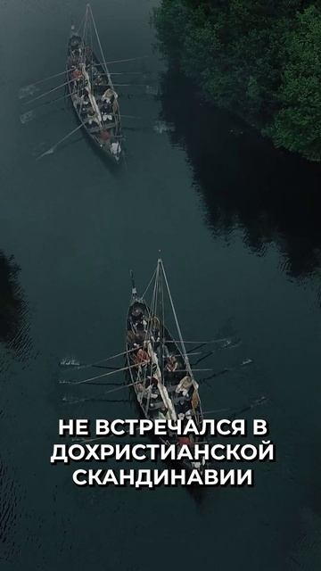 😳 Новая тайна викингов: раковины во рту захороненной женщины поставили ученых в тупик
