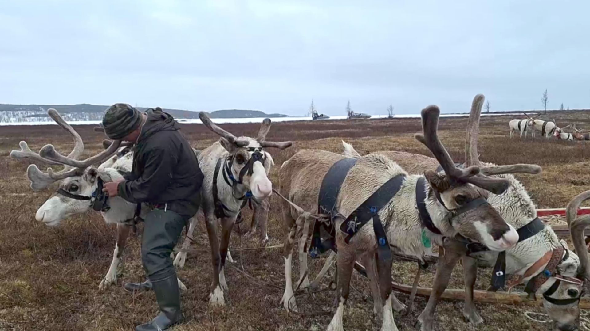 Хранители традиций. Ханты. Итоги 2025 года | Тут султам