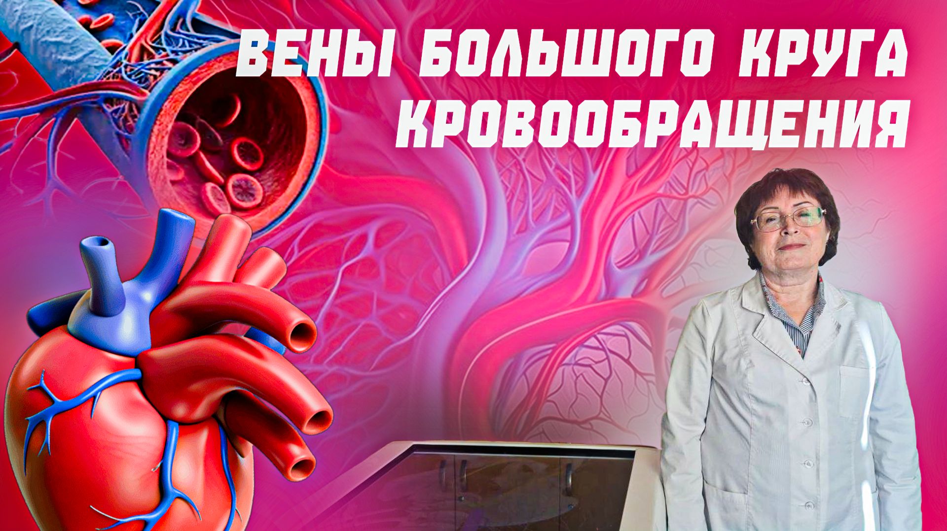 Вены Большого Круга Кровообращения. Анатомия. Лекция