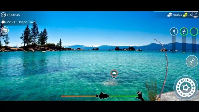 наловил 90кг карпа жесть)