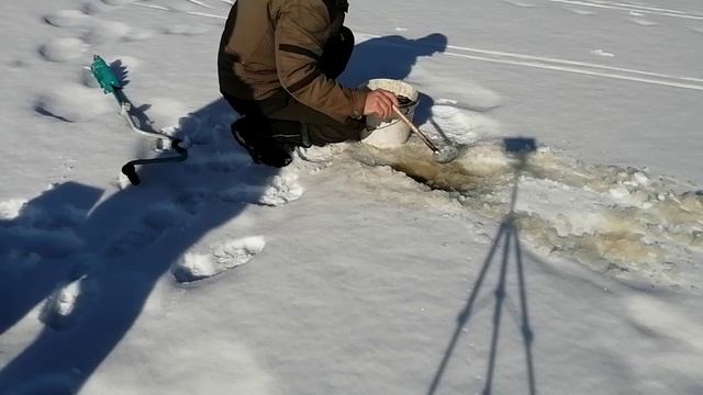 Зарыбливаем  водоём зимой