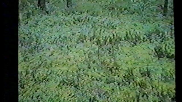 Проведение детских археологических экспедиций ч.3. Доклад Всеволода Пежембского 02.03.1999 г.  КНТ