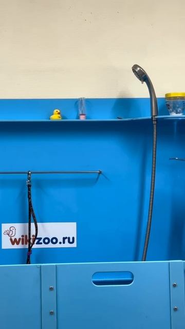 Обратная связь от клиентов