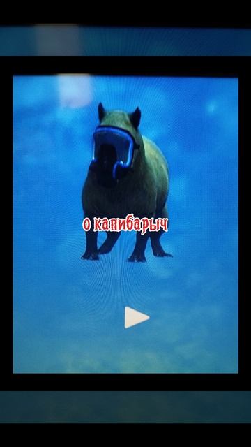 фото из жизни 3 часть.mp4