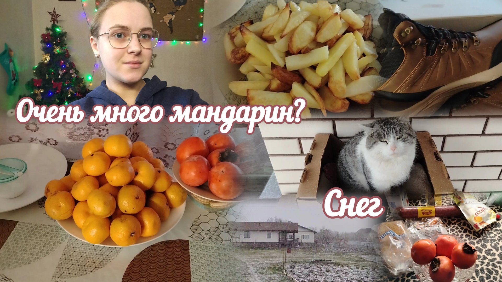 VLOG Снег🌨️ Очень много мандарин?🍊