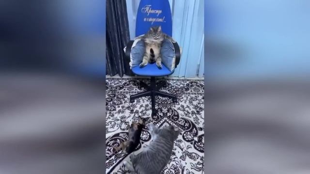 "Грех не должен над вами господствовать, ибо вы не под Законом, но под Благодатью" / Римл. 6:14