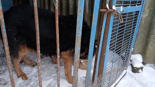 немного под замело,