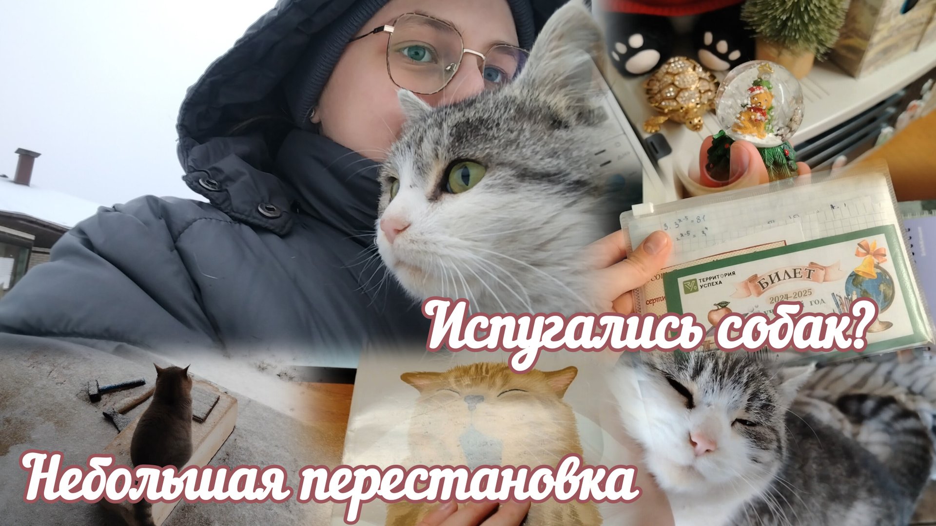 VLOG Испугались собак?🐶 Небольшая перестановка🪑