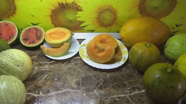 Какая дыня самая сладкая и вкусная в 2024 году?