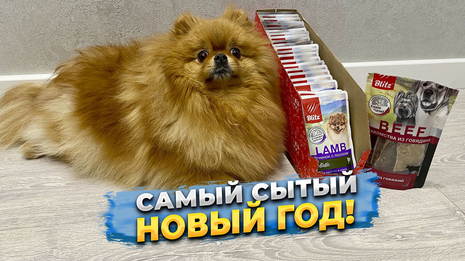 Вкусности для собак от Blitz. Предновогодняя солянка. Краснодар 2025