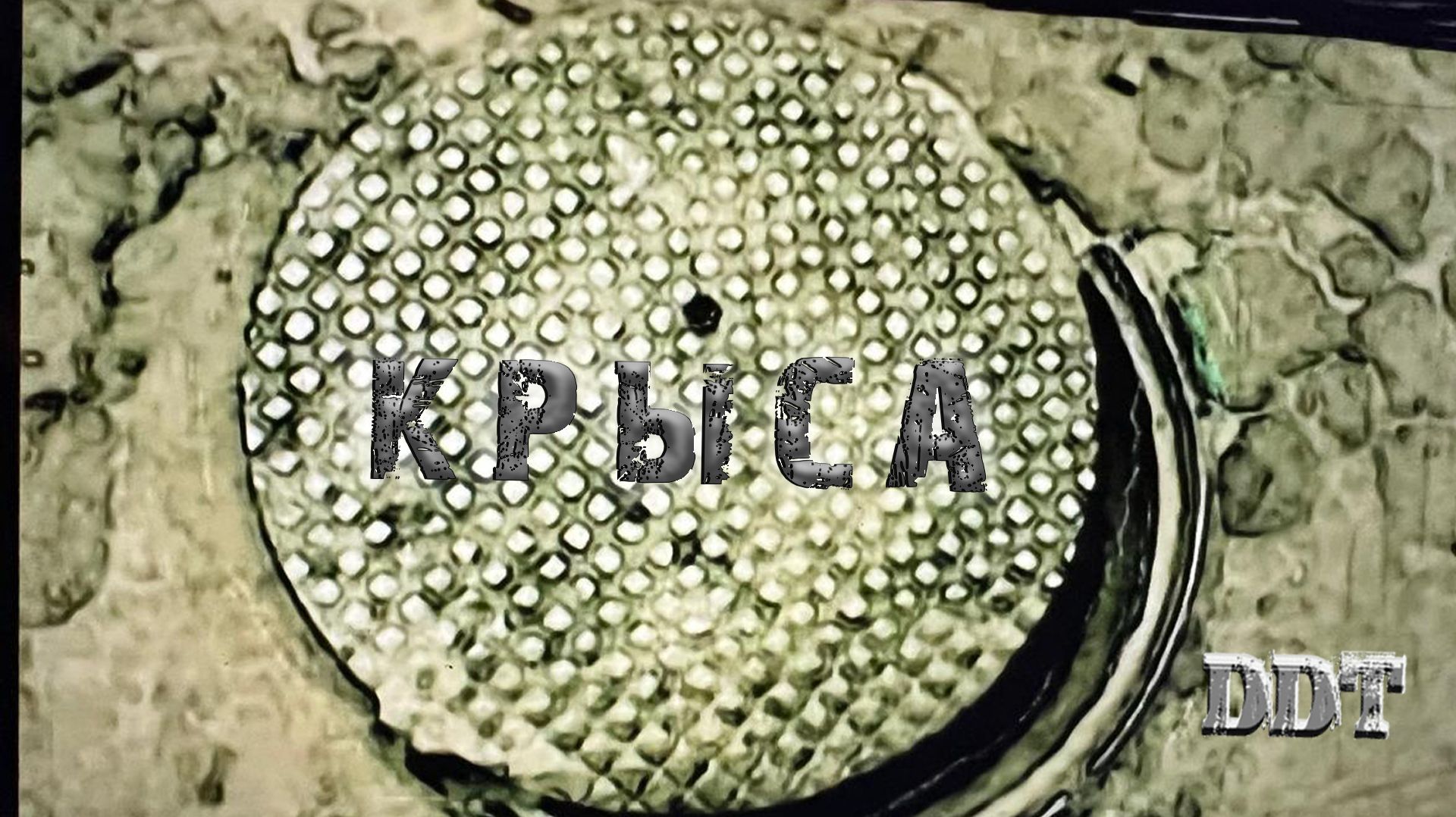 ДДТ – Крыса (Official video)