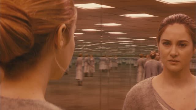 ДИВЕРГЕНТ 1-3