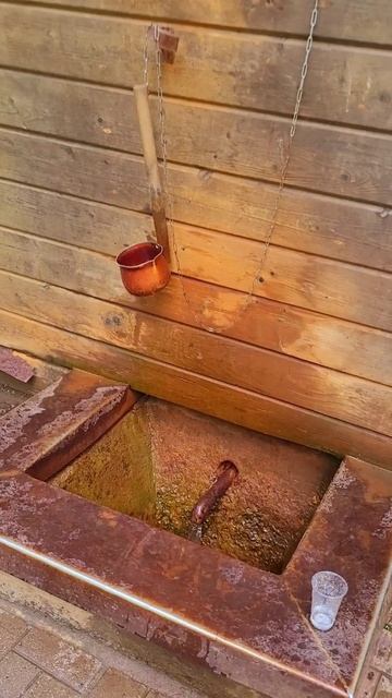 Карелия 2025. Марциальные воды. Июль 2025г (Часть 1)