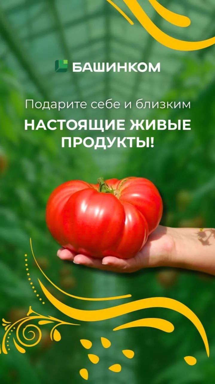 Настоящие живые продукты